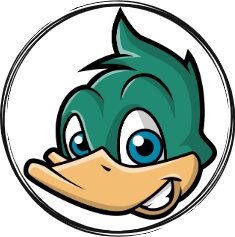 What Should I write in my Airbnb Profile? [with Examples]